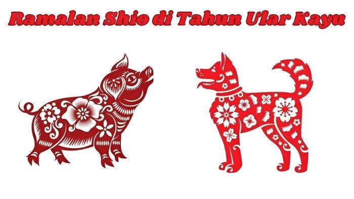 Ramalan Shio yang Bakal Hoki di Tahun Ular Kayu 2025, Bagaimana dengan ... Ramalan Shio yang Bakal Hoki di Tahun Ular Kayu 2025, Bagaimana dengan ...