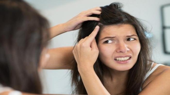 Cukup Gunakan Kapur Barus, Rambut Beruban Bisa dengan Mudah Diatasi ...