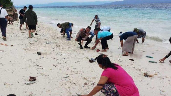 HEBOH Ikan Berbagai Jenis Terdampar di Pantai, Pertanda Apa? - Halaman ...