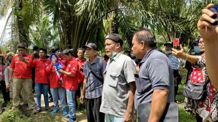 Eksekusi Lahan Berakhir Ricuh, Seorang Wanita Anak Pemilik Tanah Guling-guling di Pelepah Sawit ...