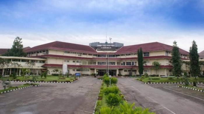 RSUP Adam Malik Kirim Sepuluh Dokter Spesialis ke Riau - Tribun-medan.com