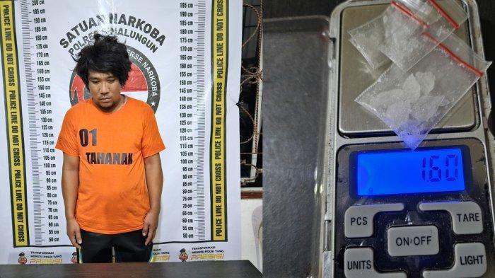 Kronologi Pemilik Ganja di Dolok Pardamean yang Ditangkap Sat Narkoba Polres Simalungun - Tribun ...