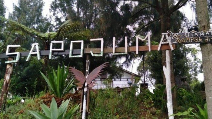 TRAVEL: Wisata Sapo Juma, Menikmati Hamparan Taman Bunga dan Pemandangan Eksotis dari Danau Toba ...