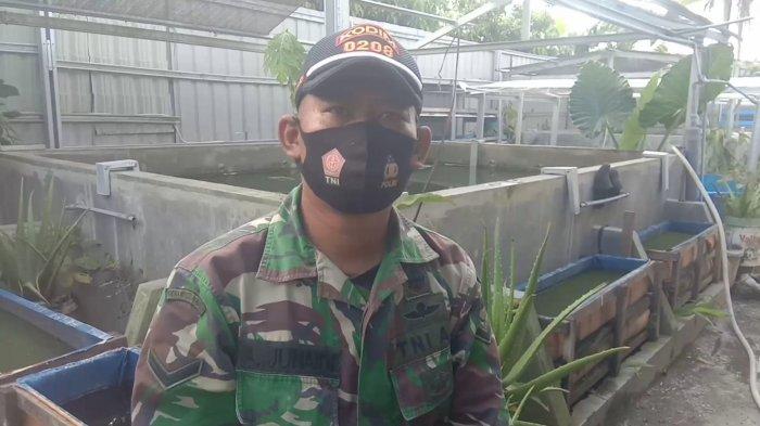SOSOK Serda Ahmad Junaidi, Personel TNI AD Kodim 0208 Asahan,Sukses ...