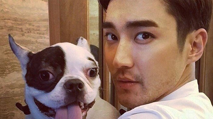 Anjing Milik Bintang Pop Korea Siwon Sebabkan Kematian Seorang ...