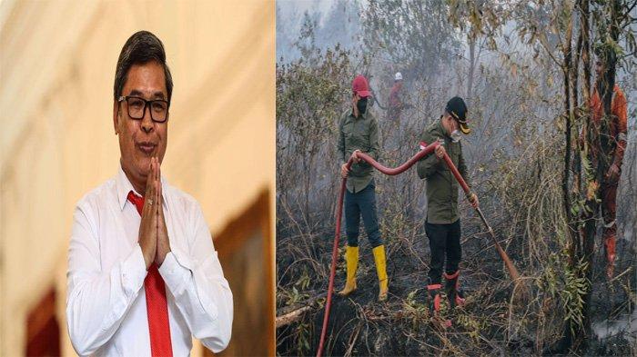 Sosok Wamen LHK Alue Dahong Tumbang Saat Coba Padamkan Api di Hutan ...