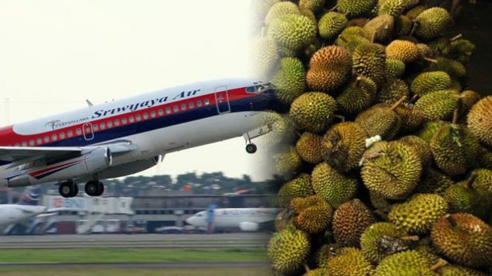 VIDEO: Maskapai Sriwijaya Air Ketahuan Penumpang Angkut 3 Ton Durian ...