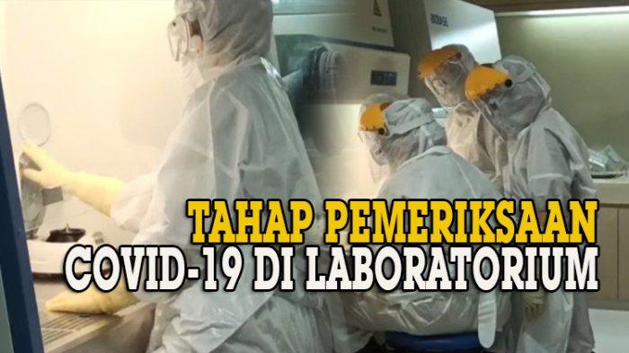 Dokter Dewi Ungkap Tahap Pemeriksaan Sampel Metode PCR, yang Dilakukan ...