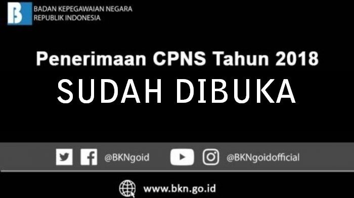 CPNS 2018 - Proses Pendaftaran CPNS di SSCN.BKN.GO.ID dan Syarat ...
