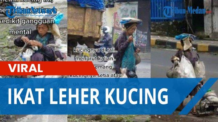 VIRAL Seorang Wanita Ikat Leher Kucing Dengan Tali, Ternyata - Tribun ...