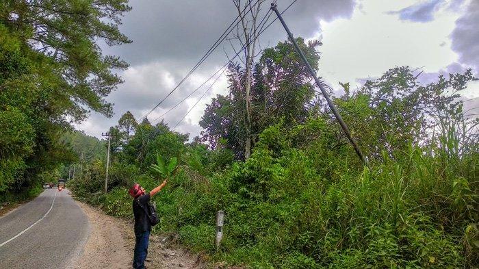 Dua Orang Tewas Tersengat Listrik saat Perbaiki Tiang Jaringan Telkom ...