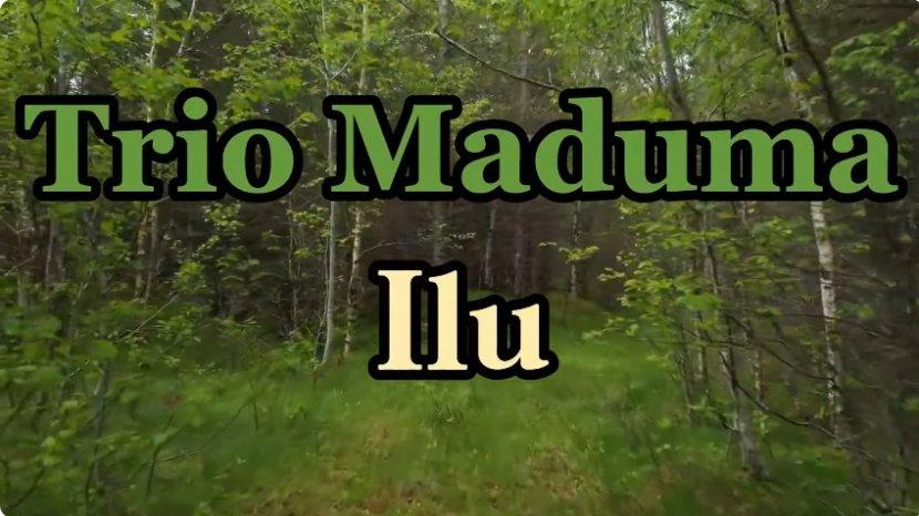 Lirik Lagu Batak Songon Halilu Dipopulerkan oleh Osen Hutasoit, Berikut ...