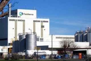 Fonterra Bangun Pabrik Susu di Indonesia - Tribun-medan.com