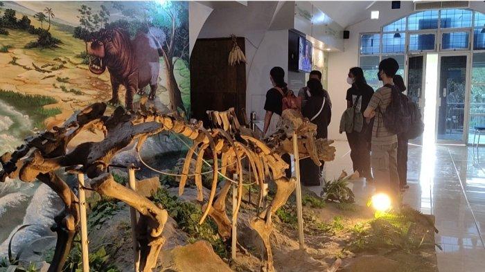 Memahami Kehidupan Manusia Purba dari Museum Sangiran, Ada Homo Erectus ...