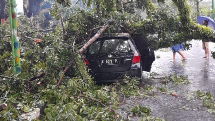 Hujan Deras dan Angin Kencang Landa Jepara, Satu Mobil Ringsek Tertimpa Pohon Tumbang ...