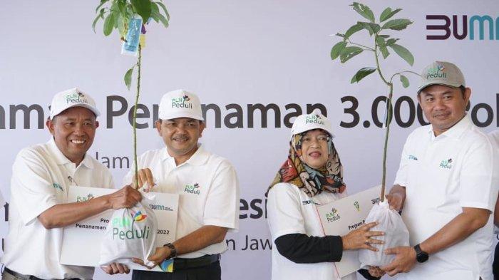 Aksi Nyata Tangani Perubahan Iklim, PLN Peduli Serahkan 3.000 Pohon di Hari Menanam Pohon ...