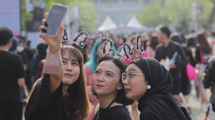 Ketika Blink Bikin GBK Jadi Hitam Pink - tribunmuria.com