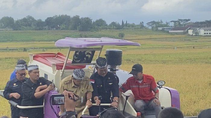 Mentan SYL: Panen Raya Padi Maret 2023 Capai 1,9 Juta Ton, Stok Beras Aman Hingga Lebaran ...