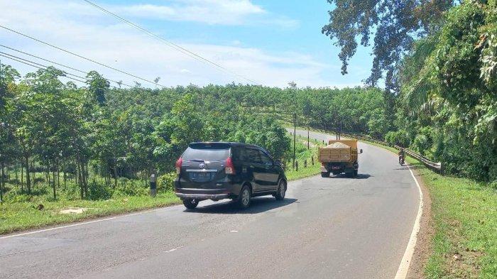 Jalan Provinsi di Utara Jepara Sudah Tua dan Lapuk, Gus Haiz: Bagus ...