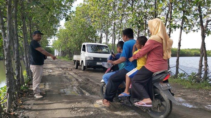 Akses Jalan Wisata Pantai Pulo Kodok Tegal Memprihatinkan, Jalan Penuh ...