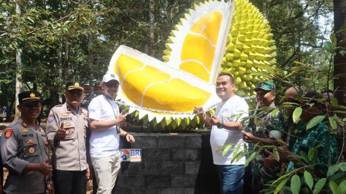 Petani di Blora Jadikan Lereng Pegunungan Kendeng Kebun Durian, Surganya si Raja Buah ...