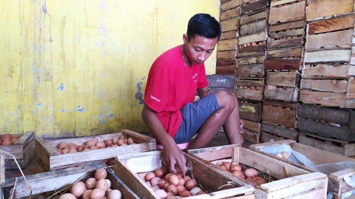 Harga Telur dan Cabai Merangkak Naik, Simak Harga Bapokting di Awal ...