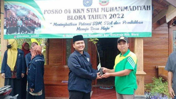 Aksi Tanam Kelor, Upaya Mahasiswa STAIM dan CDK Dukung Ketercapaian ...