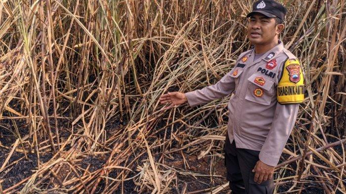BREAKING NEWS: Warga Dawe Kudus Geger, Temukan Mayat Pria Terbakar di ... BREAKING NEWS: Warga Dawe Kudus Geger, Temukan Mayat Pria Terbakar di ...