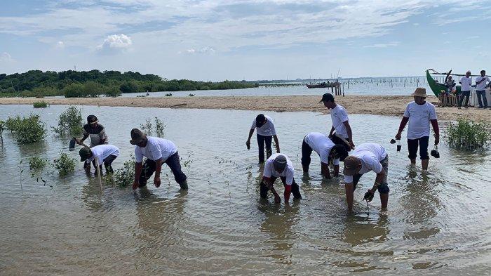 Pemprov Jateng Kerjasama PLN Manfaatkan FABA Cegah Abrasi di Pantura - tribunmuria.com