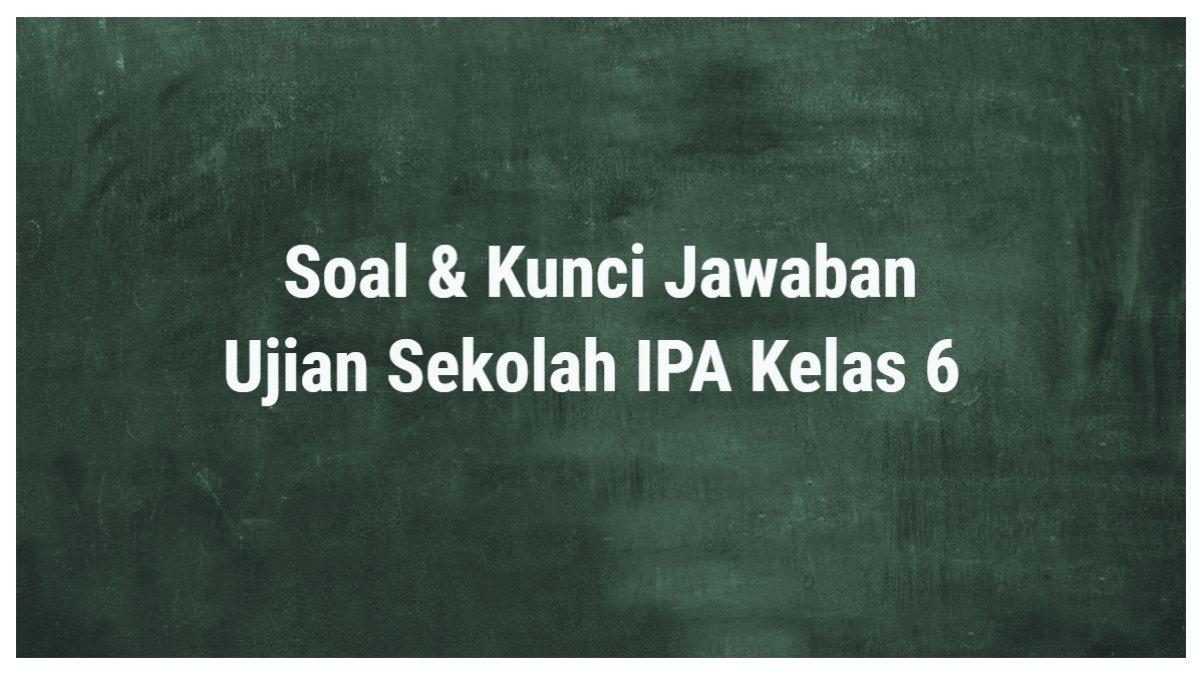 Simak! Soal & Kunci Jawaban Ujian Sekolah IPA Kelas 6 Tahun 2024: 30 Soal Pilihan Ganda ...
