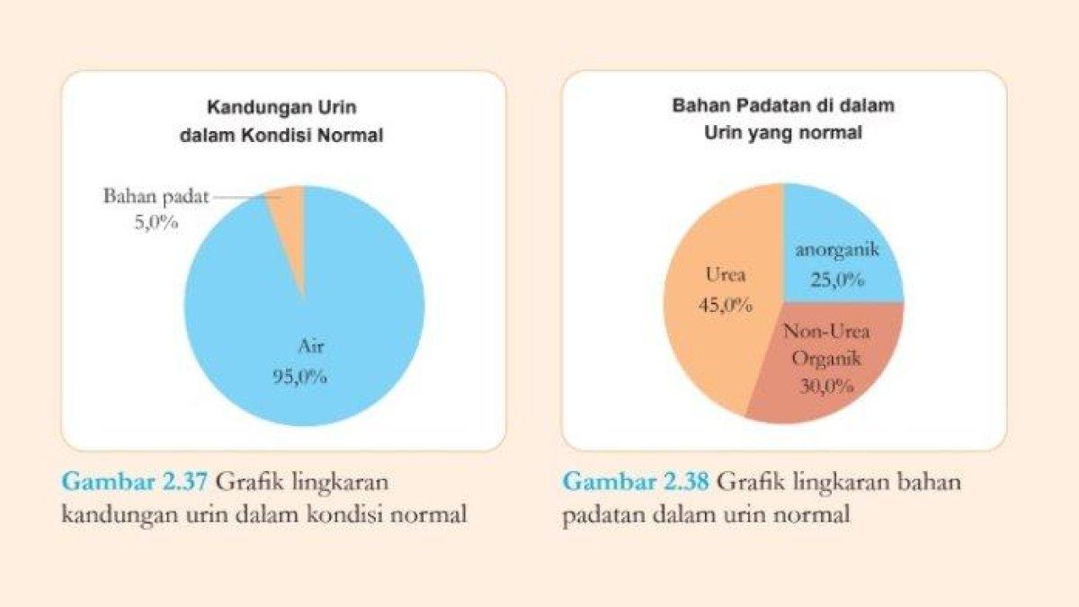 Hitung & Beri Label Grafik Kandungan Urin Kondisi Normal, Kunci Jawaban ...