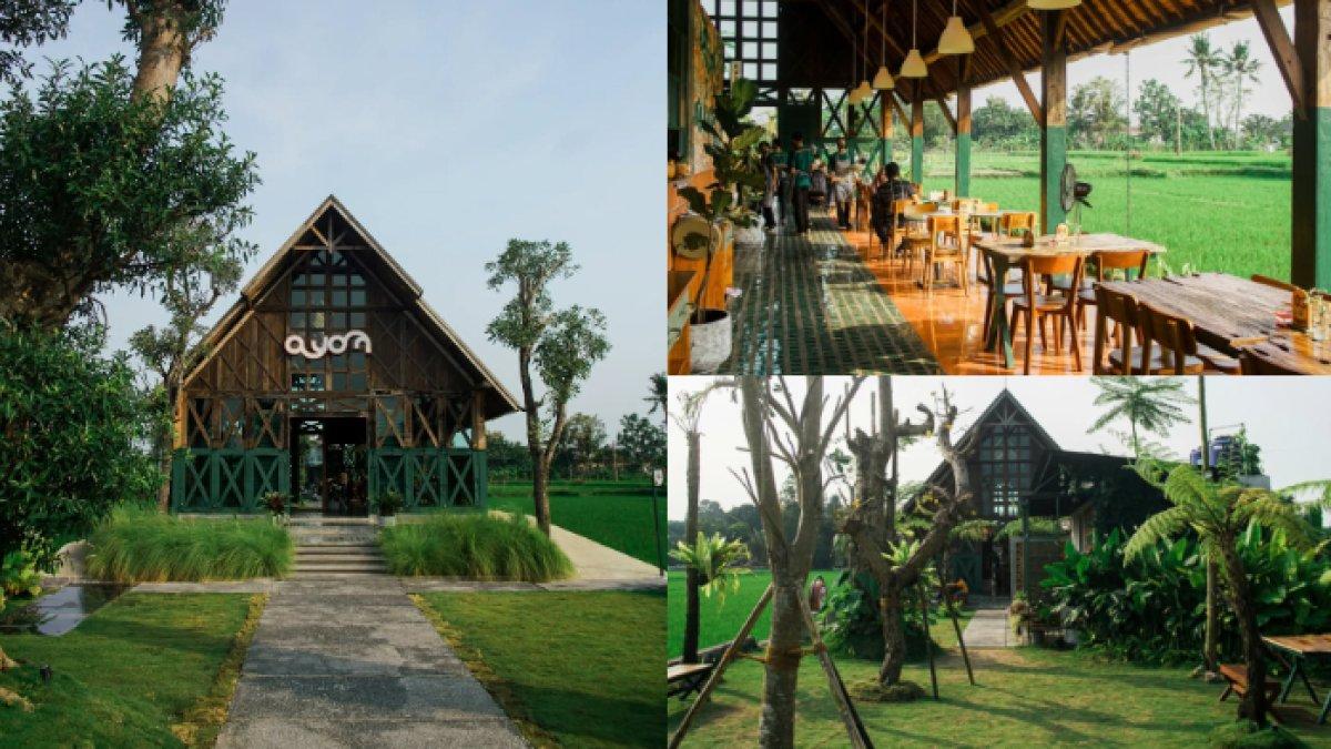 Sleman Jogja Punya Kafe Sebagus Ini, Sensasi Nongkrong dengan Suasana ...