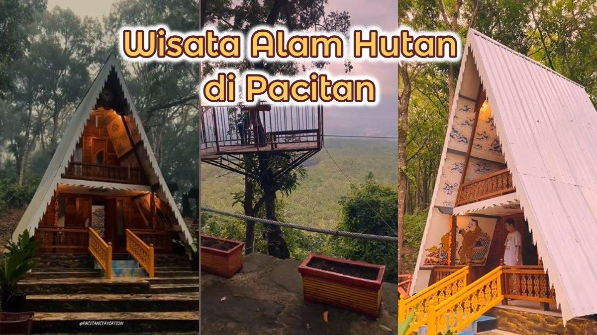 Di Pacitan Jatim Ada Wisata Alam Hutan Instagramable, Ada Gazebo Unik ...