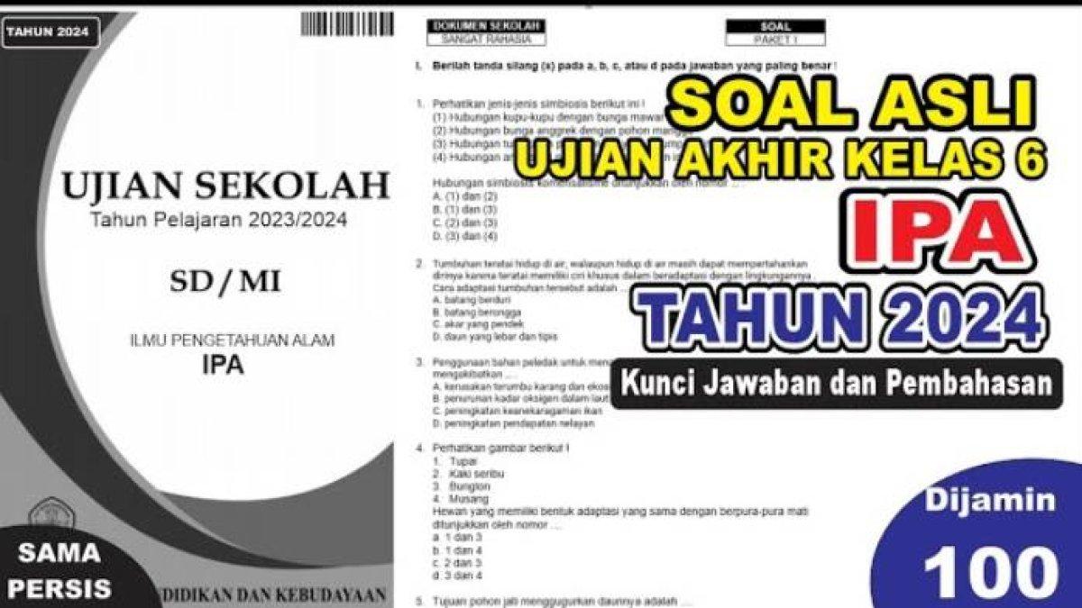 30 Soal & Kunci Jawaban Ujian Sekolah IPA Kelas 6 SD, Ciri Khusus yang Ddimiliki Oleh Kelelawar ...
