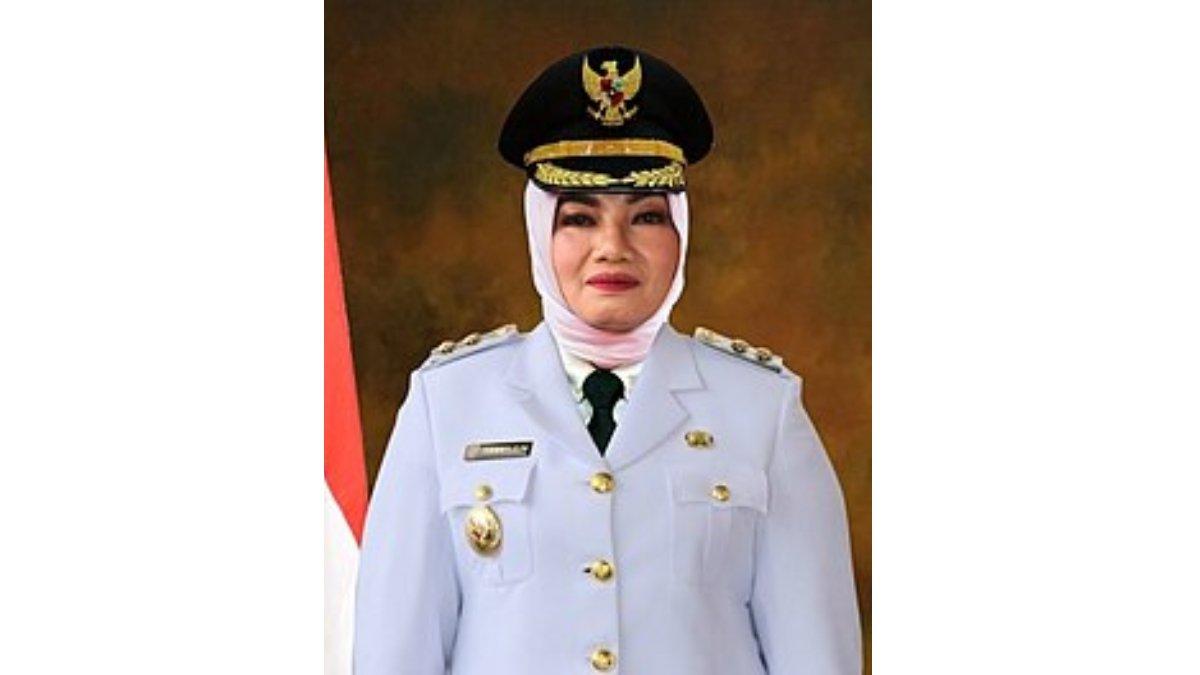 Sosok & Profil Irawati, Wakil Bupati Kotawaringin Timur 2025, Pernah Dibentak Penjual Miras ...