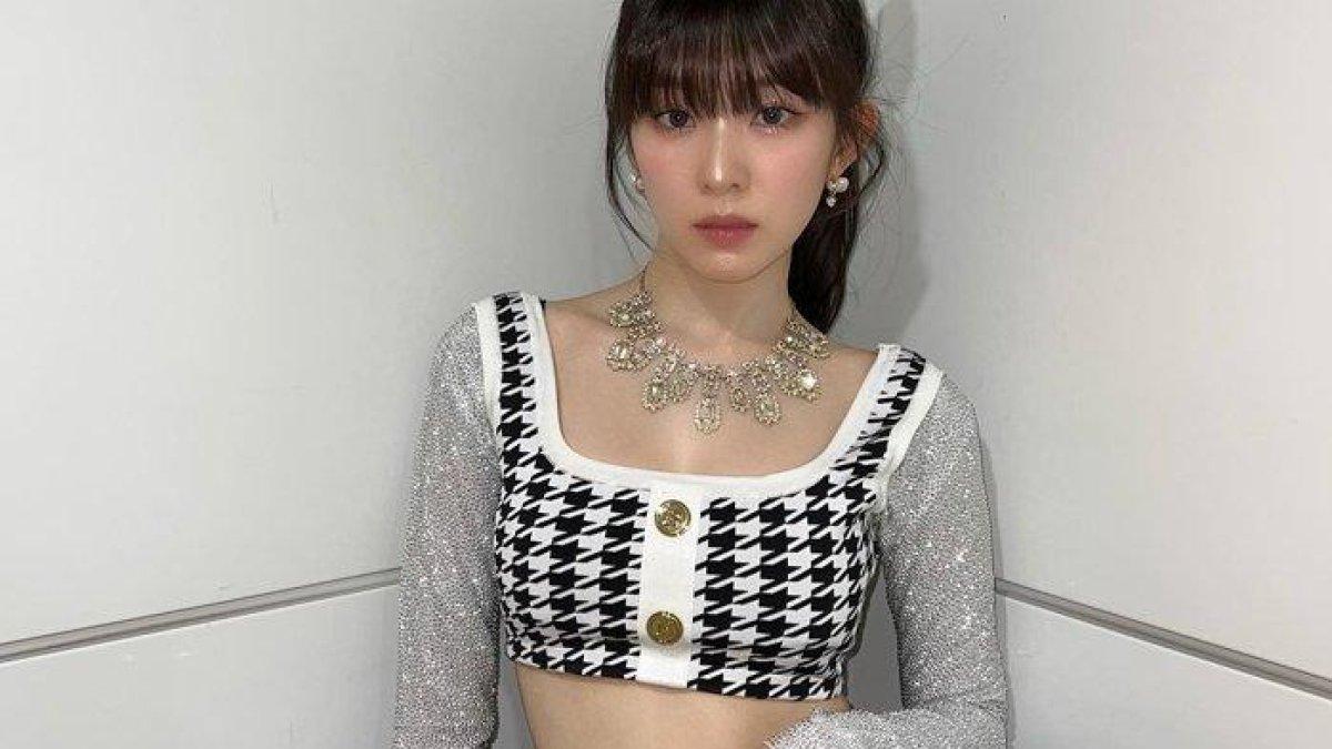 Profil dan Instagram Irene Red Velvet, Member Tercantik Grup Girl Asal Korsel yang Jadi Sorotan ...