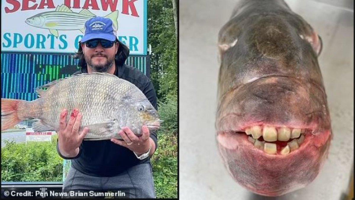 Terkenal Sulit Ditangkap, Nelayan Ini Terkejut Dapatkan Ikan Aneh ...