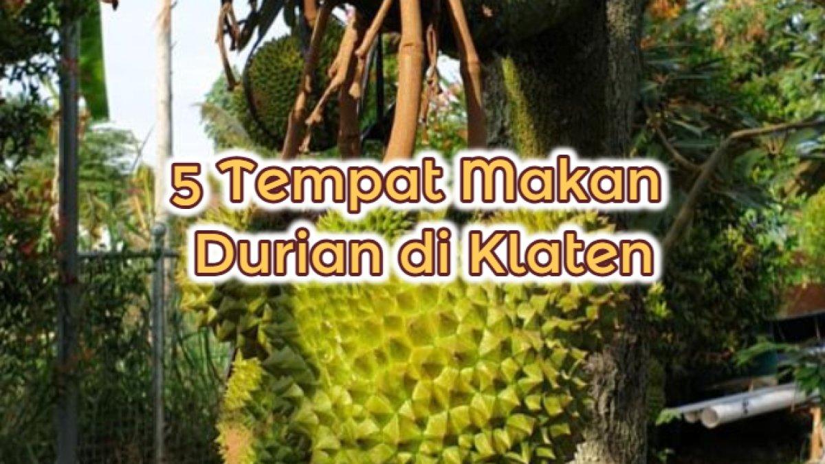 5 Tempat Makan Durian di Klaten, Dijamin Enak & Harum, Ada Tana Durian ...