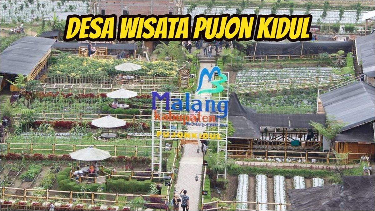 Kurang dari 1 Jam dari Malang, Ada Desa Wisata Pujon Kidul yang Indah ...