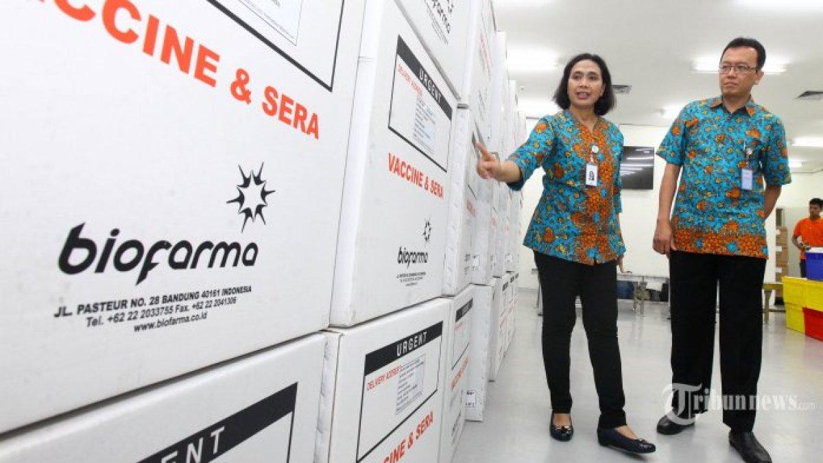 PELUANG! Bio Farma Buka Lowongan Kerja Magang BUMN 2024, Lulusan SMA/SMK Bisa Melamar Jadi Staff ...