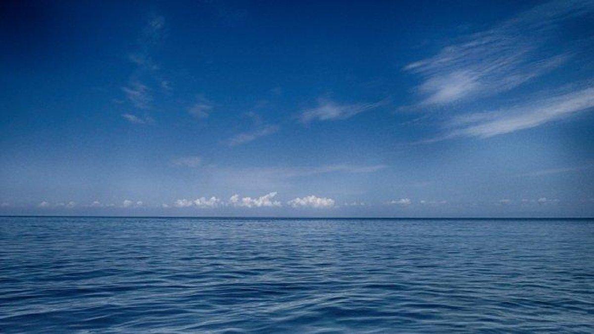 Soal & Kunci Jawaban Bahasa Indonesia Kelas 9 Halaman 125: Apa Fungsi ...