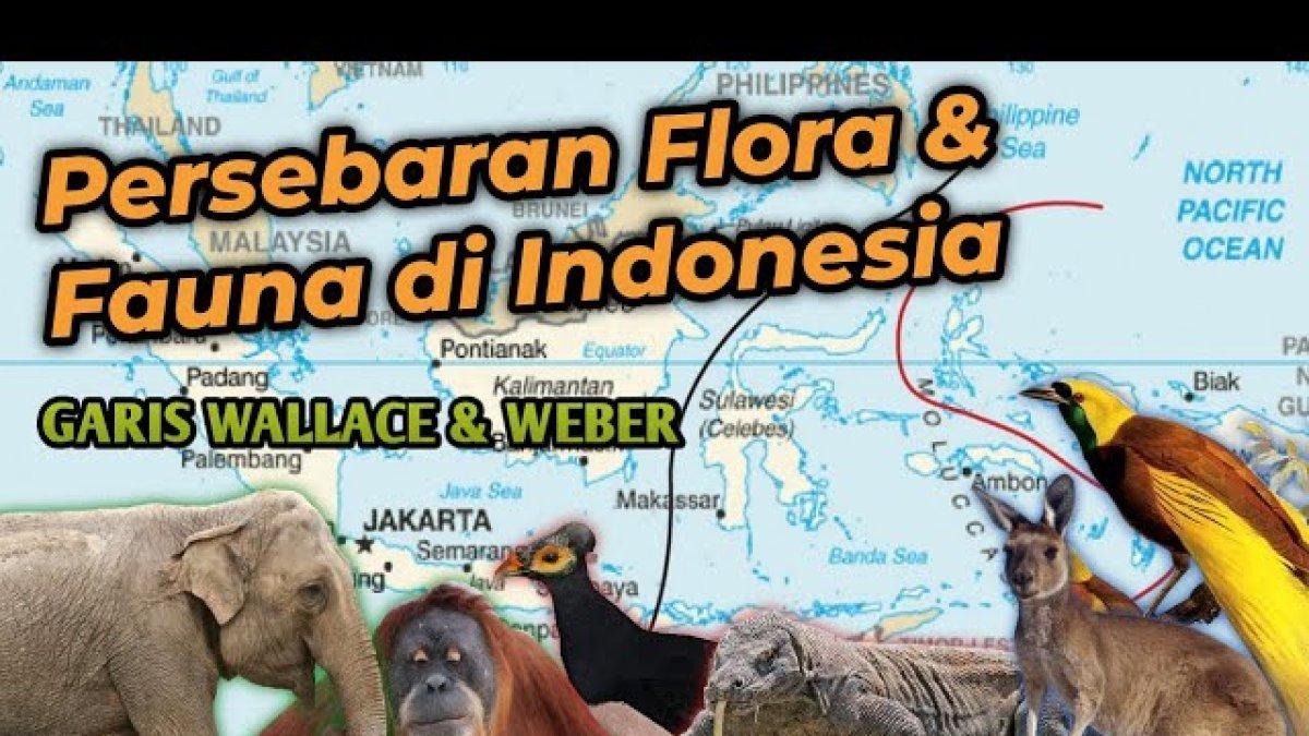 Materi Geografi Kelas 11 SMA : Apa Itu Flora dan Fauna? Berikut Ini ...