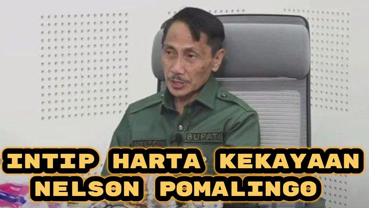 Intip Kekayaan Nelson Pomalingo, Calon Gubernur di Pilkada Gorontalo 2024, Jumlah Hartanya ...