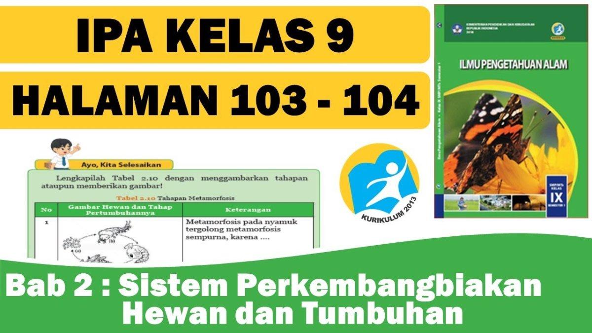 Soal & Kunci Jawaban IPA Kelas 9 SMP Halaman 103, Tahapan Metamorfosis ...