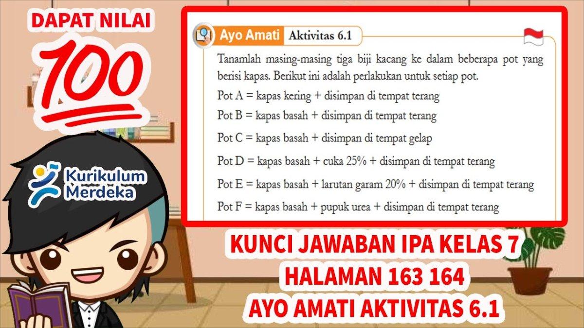 Soal & Kunci Jawaban IPA Kelas 7 SMP/MTs Halaman 163 164 Kurikulum Merdeka : Ayo Amati Aktivitas ...