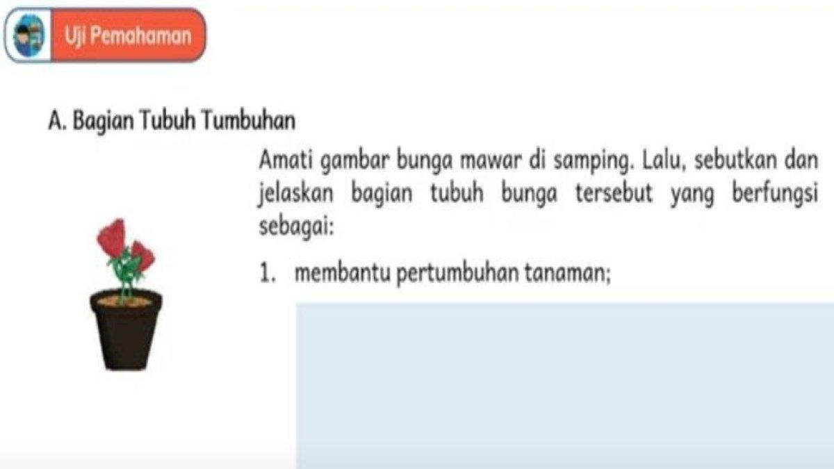Soal & Kunci Jawaban IPAS Kelas 4 SD Halaman 31 - 32 : Uji Pemahaman - Tribunnewsmaker.com
