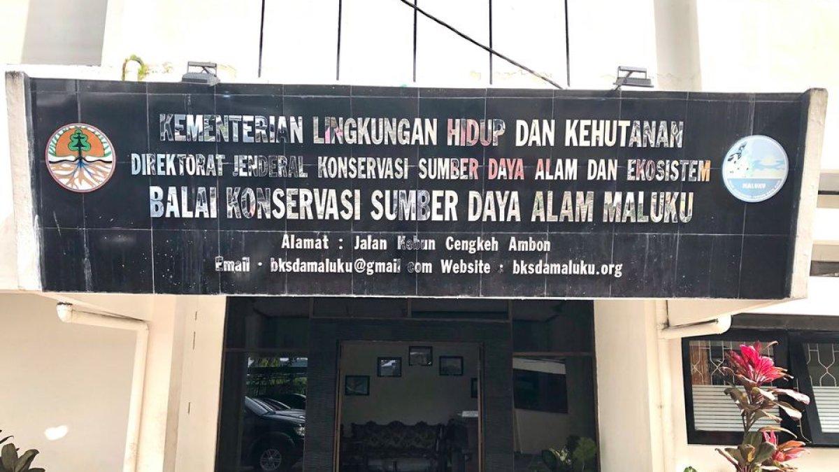 Balai KSDA Maluku Buka Lowongan Kerja 2024, Butuh Tenaga IT Lulusan SMK Usia Maksimal 35 Tahun ...