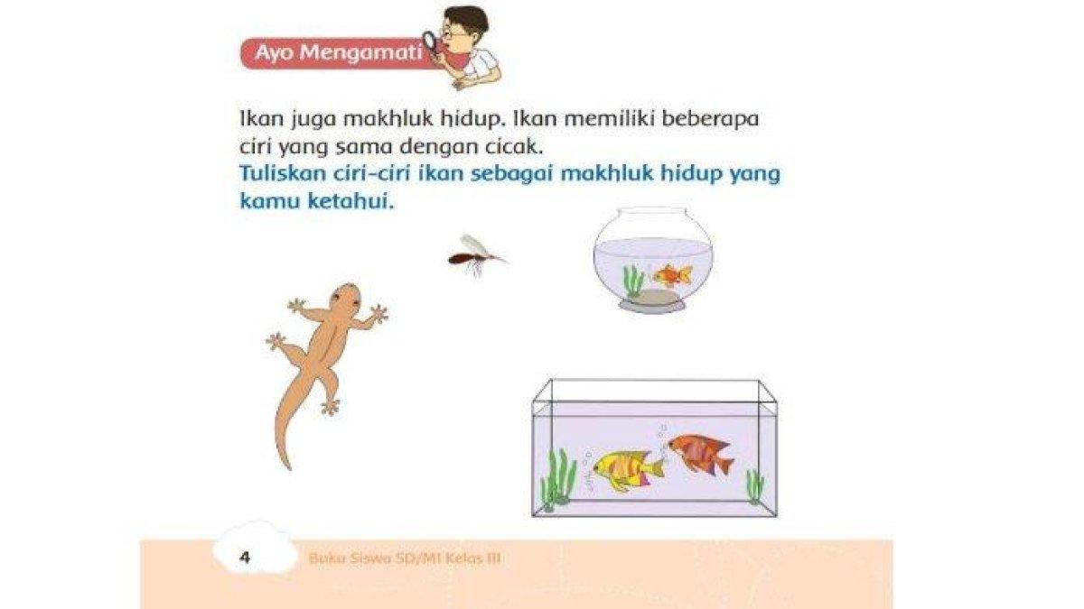 KUNCI JAWABAN Tema 1 Kelas 3 SD Hal 4-5: Bagaimana Ciri - ciri Ikan Sebagai Makhluk Hidup ...
