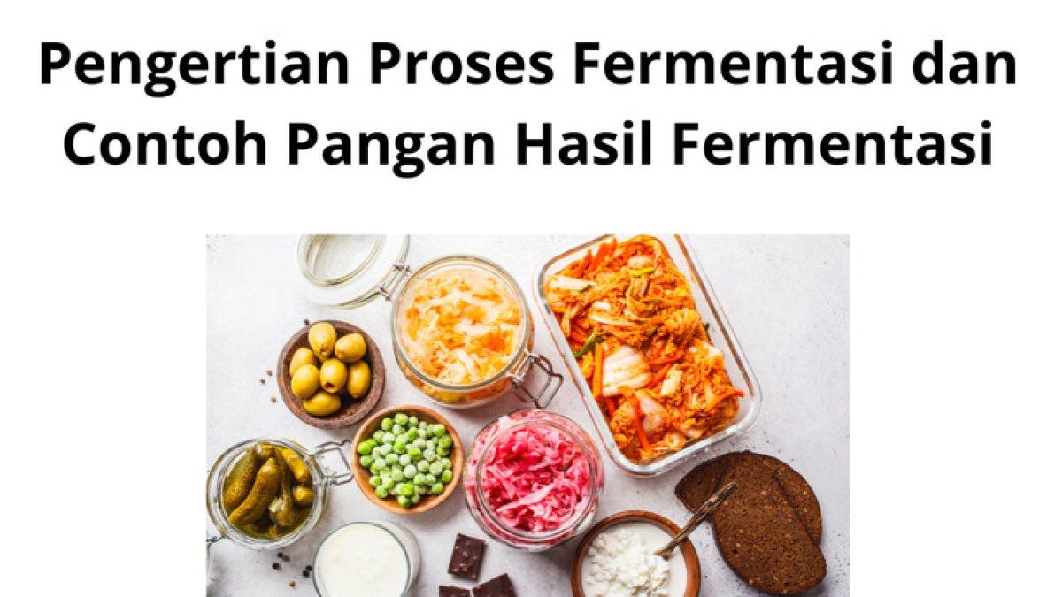 Apa Yang Dimaksud Fermentasi Hasil Pangan? Seperti Apakah Contoh ...