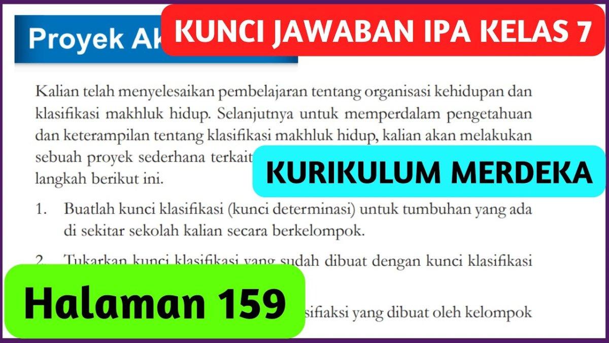 Soal & Kunci Jawaban IPA kelas 7 SMP Halaman 159 Kurikulum Merdeka, Kunci Klasifikasi Tumbuhan ...